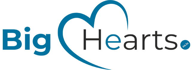 BigHearts Venture LLP™- Public Private Partnership Consultant